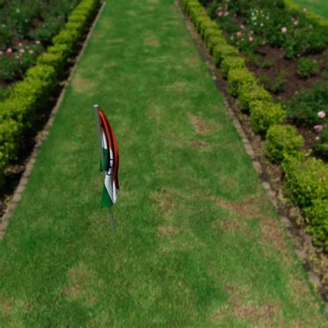 Satarupa Saha Posted On Linkedin