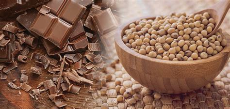 How To Make Chocolate With Cocoa Beans Bean To Bar Chocolatiering