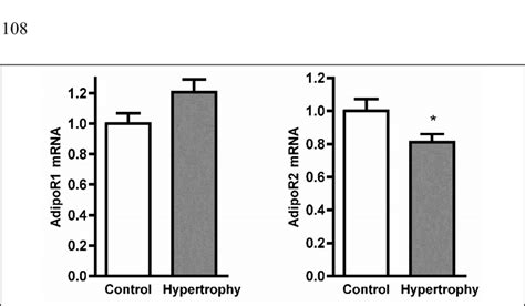 The Expression Of Both Isoforms Of Adiponectin Receptor In Rat Download Scientific Diagram