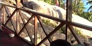 Triple X Tnaflix Com