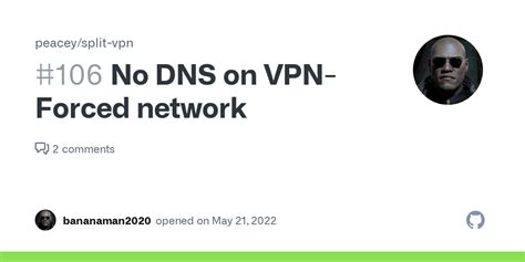 No DNS On VPN Forced Network Issue Peacey Split Vpn GitHub