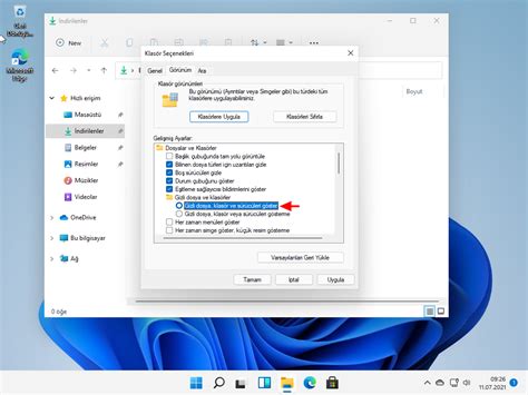 Windows 11 Dosya Gezgini nde gizli dosyalar nasıl gösterilir