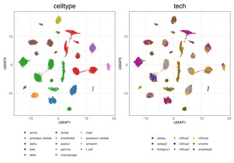 Dataset Pancreas
