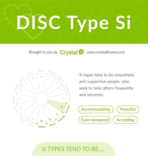 Disc Type Si Infographic