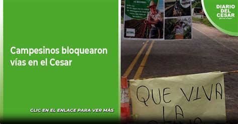 Campesinos Bloquearon Vías En El Cesar