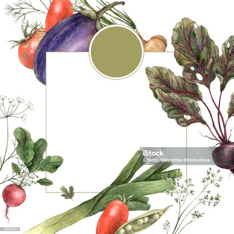 수채화 사각형 프레임과 다른 야채의 원 양파 가지 사탕무 토마토 딜 손으로 그린 흰색 배경에 고립되어 있습니다 디자인 초대장