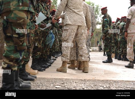 Djiboutian Army Soldiers Get Congratulated By Their Us Military