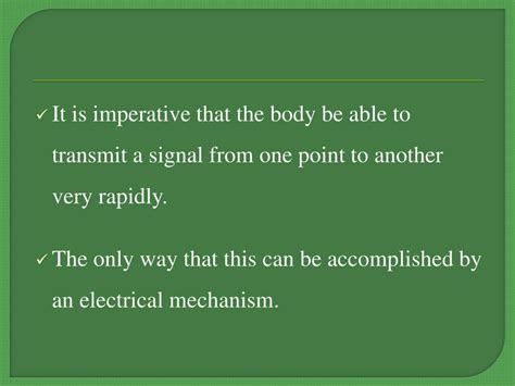 Ppt Model Of Passive Membrane And Cable Theory Powerpoint