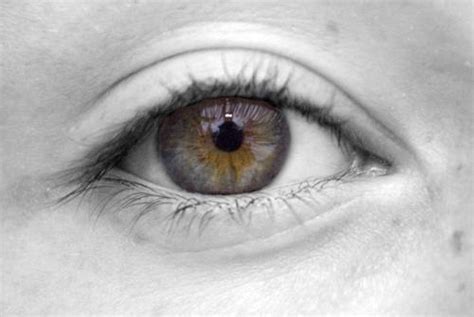 Eyelid Twitches Causes And Treatments Bethesda Vision Care