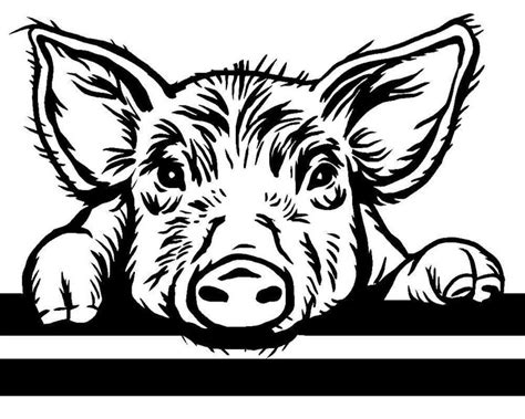 Pin De Tracey Tossey Wingard En Cricut Logo De Granja Cerdos Patrones