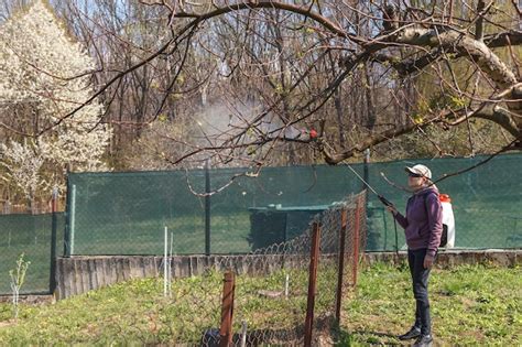 Premium Photo Woman Works The Garden And Sprays Rechargeable Sprayers Chemicals Against Pests