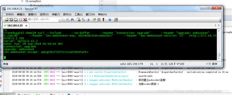 Nginx Websocket Iphash规则一世为白 Csdn博客