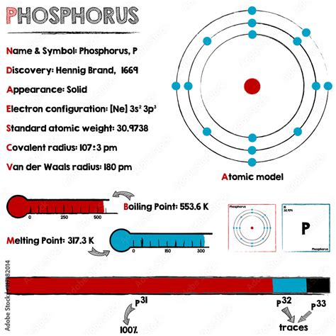 Phosphorus Element Model