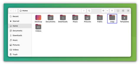 Uninstall Snap Packages From Ubuntu And Other Linux Distros