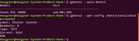 Canon Shutter Count Kameratrollet
