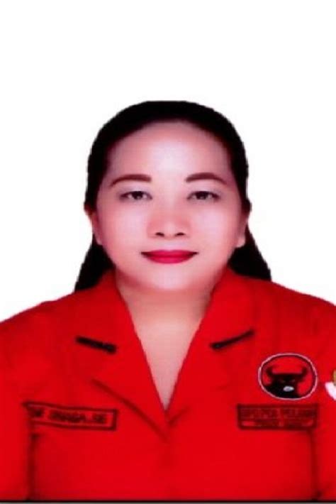 Profil Irene Erawaty Sinaga S E Info Pemilu