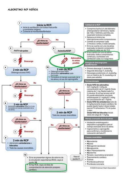 Algoritmo Rcp NiÑos Bhetsy Gutierrez Udocz