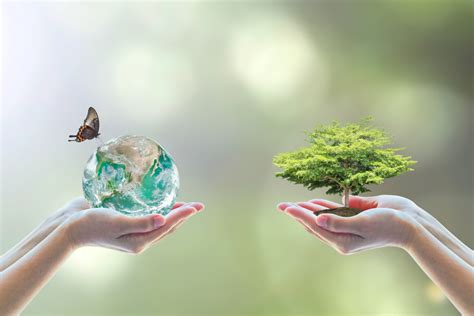 Green Claims Directive projekt sprawozdania przyjęty przez Komisję