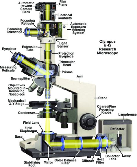 Diagramme De Microscope Jennifer Waters On X I Know Many Of You Are