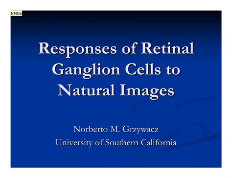 Responses Of Retinal Ganglion Cells To Natural Images