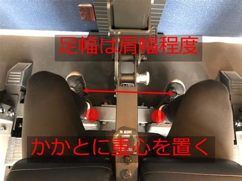 ラットプルダウンのやり方・ポイント 科学特化型パーソナルジム Eclipse