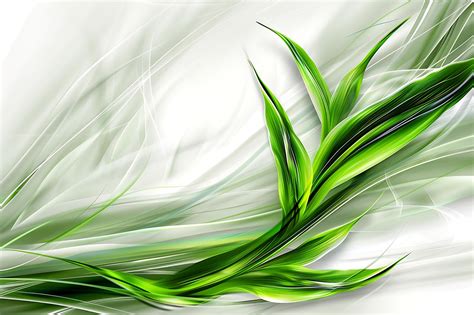 Ai Pixabay