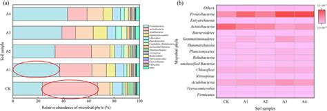 A The Proportion Of The Relative Abundance Of Microbial Bacterial