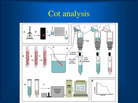 Ppt What Is Bioinformatics Powerpoint Presentation Free Download Id4269892