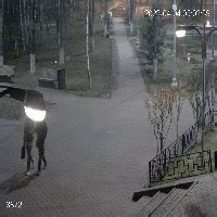 Frigate Object Detection Object Detection Dataset And Pre Trained Model