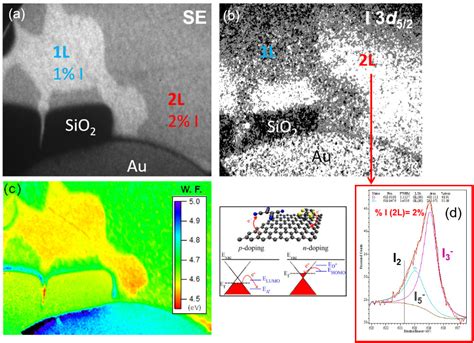 Xpeem Spectro Microscope Ascent