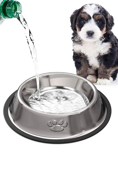 EnPet Adet cm Paslanmaz Çelik Metal Evcil Hayvan Kedi Köpek Mama Ve Su Kabı Mama Kasesi