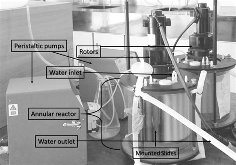 experimental set up of annular reactors for biofilm formation in