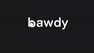 Meaning Of Bawdy In English Sanalmagaza