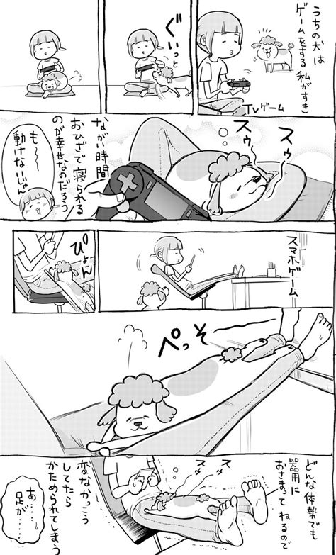 「犬と猫どっちも飼ってると、ゲーム中も気が抜けなくて毎日たのしい 」松本ひで吉の漫画