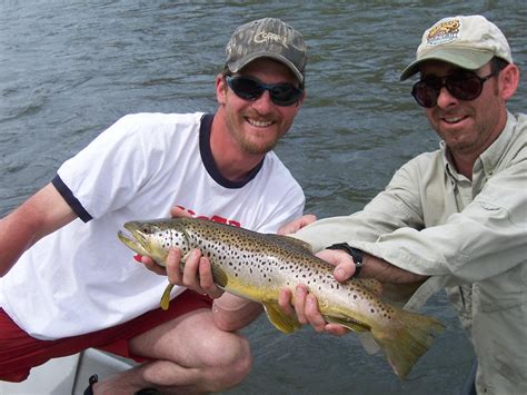 Efferson Outfitters Fly Fishing 2025 All You Need To Know Before