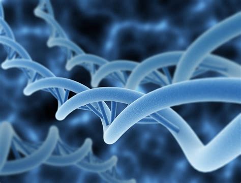 成都普瑞菁英生物（precision Gene）