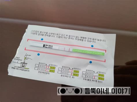 스마일 배란 테스트기 데이비드 2 배테기 관찰하기 배테기 수치 피크날 네이버 블로그