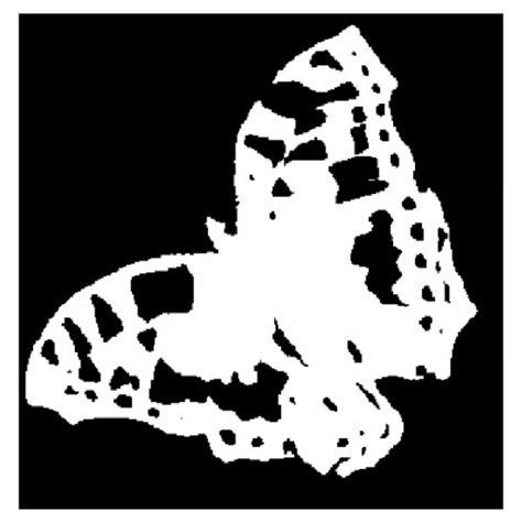 A Primary Image B Cv Segmentation C Bfv Segmentation D