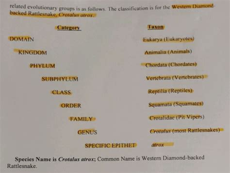 Biol 3321 Evolution Exam 1 Study Guide Flashcards Quizlet