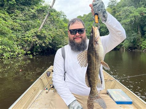 Giant Catfish Of The Amazon — The Apex Predators Of South Americas Waters
