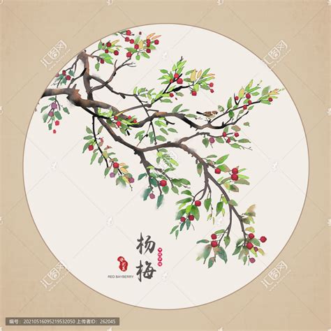 水墨杨梅 植物花草 设计素材 设计模板 汇图网www huitu