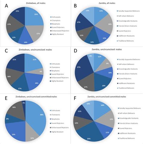 A Case Study For A Psychographic Behavioral Segmentation Approach For