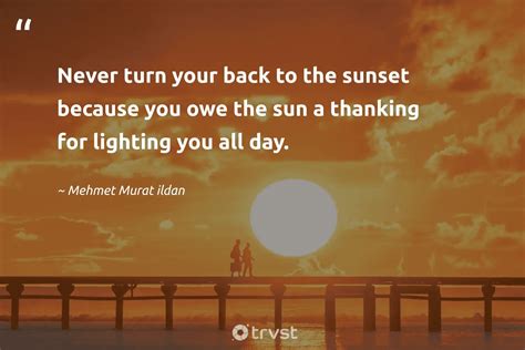 Kissing In The Sunset Quotes