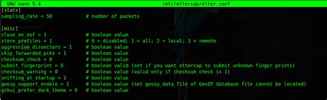 Dns Spoof Plugin Dont Working All The Time Issue Ettercap Ettercap GitHub