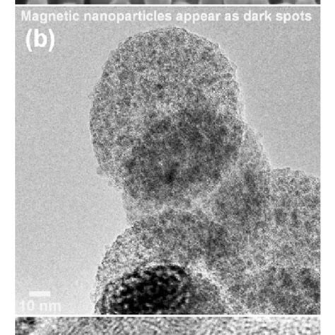 Pdf Synthesis Of Superparamagnetic Nanoparticles Dispersed In