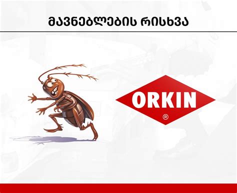 Orkin Georgia • ორკინი საქართველო On Linkedin მიმართე ორკინს ️ გაუმკლავდი მავნებლებს მოაგვარე