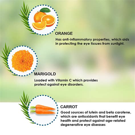Buy Health Veda Plant Based Eye Care 1000 Mg Veg Tablet 60s Online At