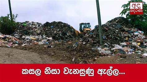 කසල නිසා වැනසුණු ඇල්ල Youtube