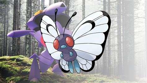 The Best Bug Pokémon In Pokémon Go Pocket Tactics