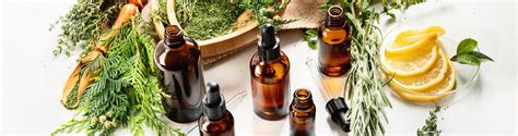 Integrative Medicine Torrance Memorial South Bay